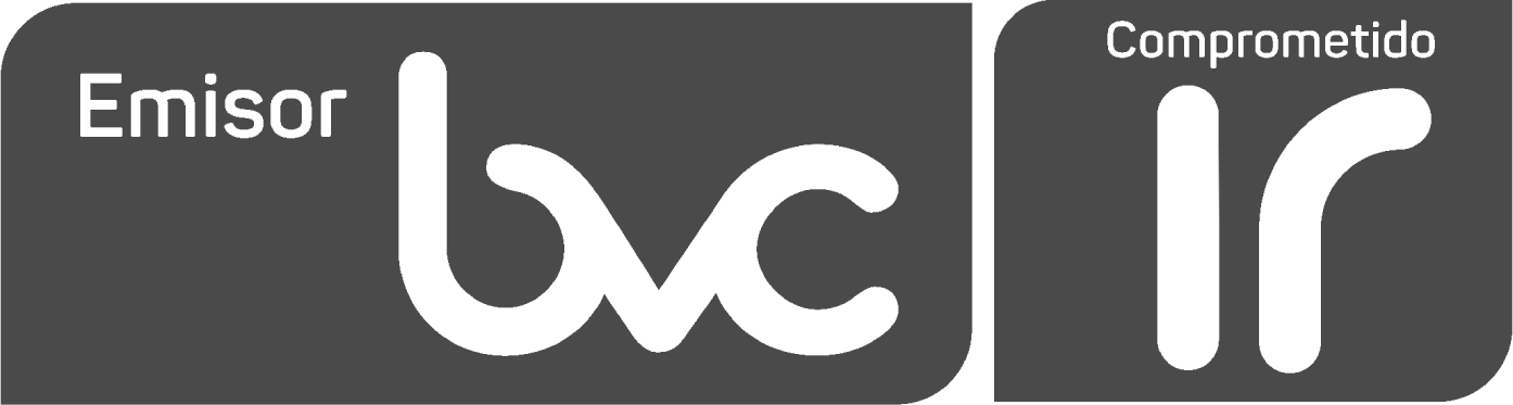Bvc Group Logo